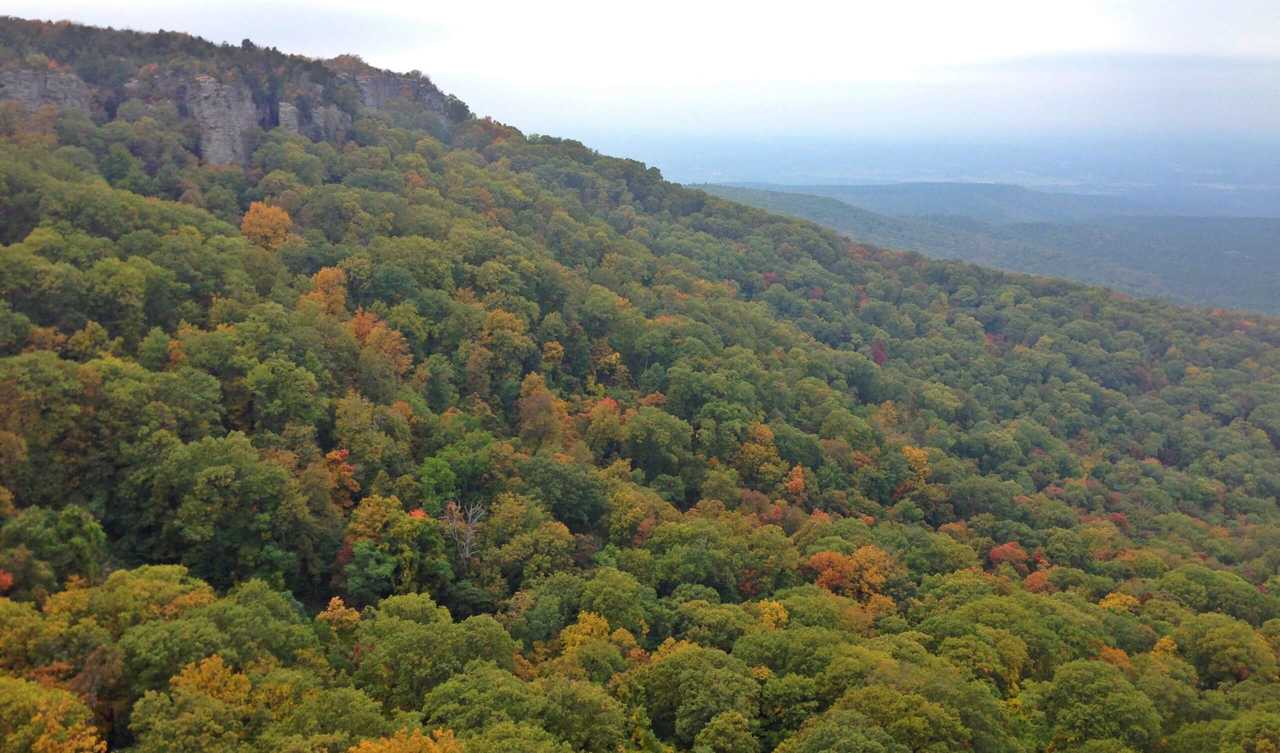 Magazine Mountain, Arkansas | U.S. Highpoint Guide